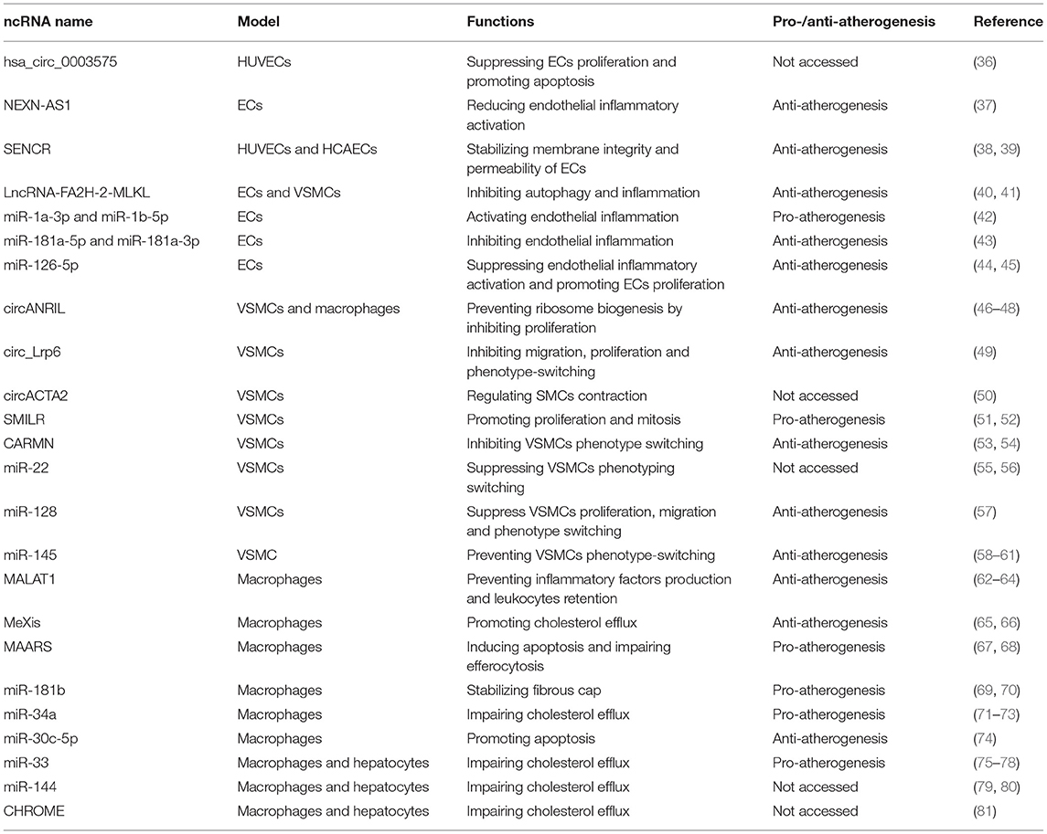 Frontiers | Non-coding RNA-Associated Therapeutic Strategies in ...