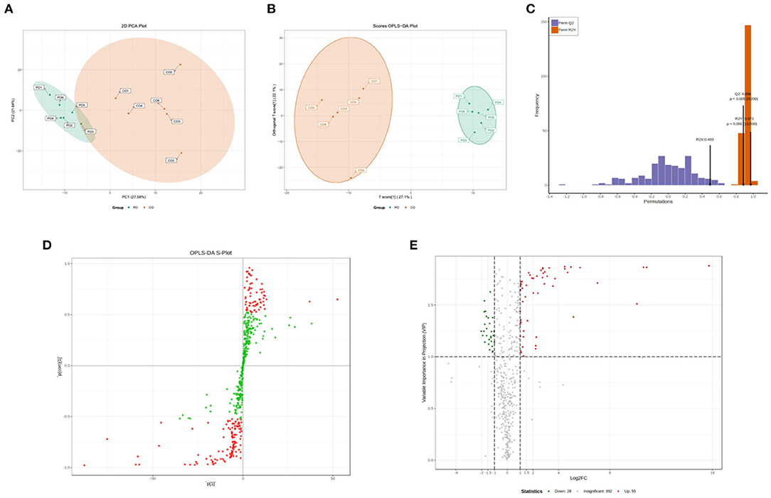 Frontiers | Integrated ONT Full-Length Transcriptome and Metabolism ...