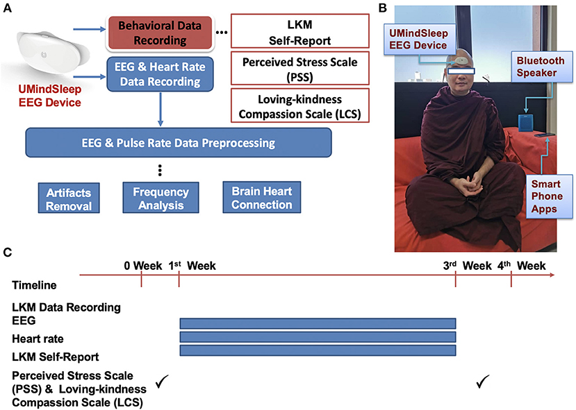 Frontiers | Loving-kindness meditation (LKM) modulates brain-heart ...