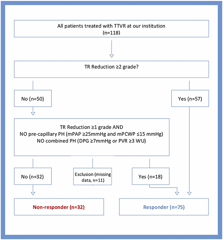 Frontiers | Invasive Hemodynamic Assessment and Procedural Success of ...