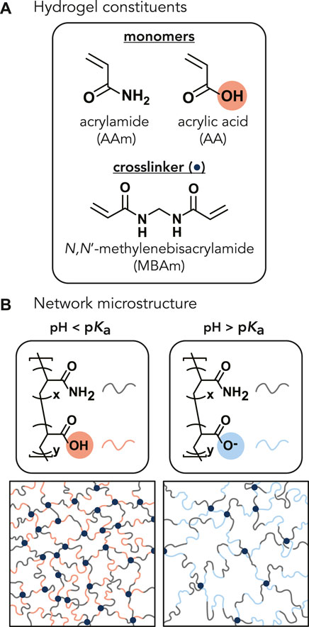 Frontiers | Superlubricity of pH-responsive hydrogels in extreme ...