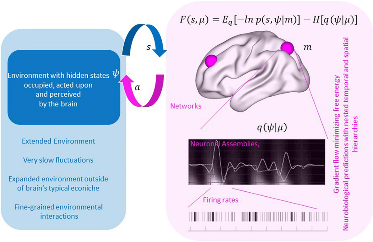 Frontiers | Augmenting Human Selves Through Artificial Agents – Lessons ...