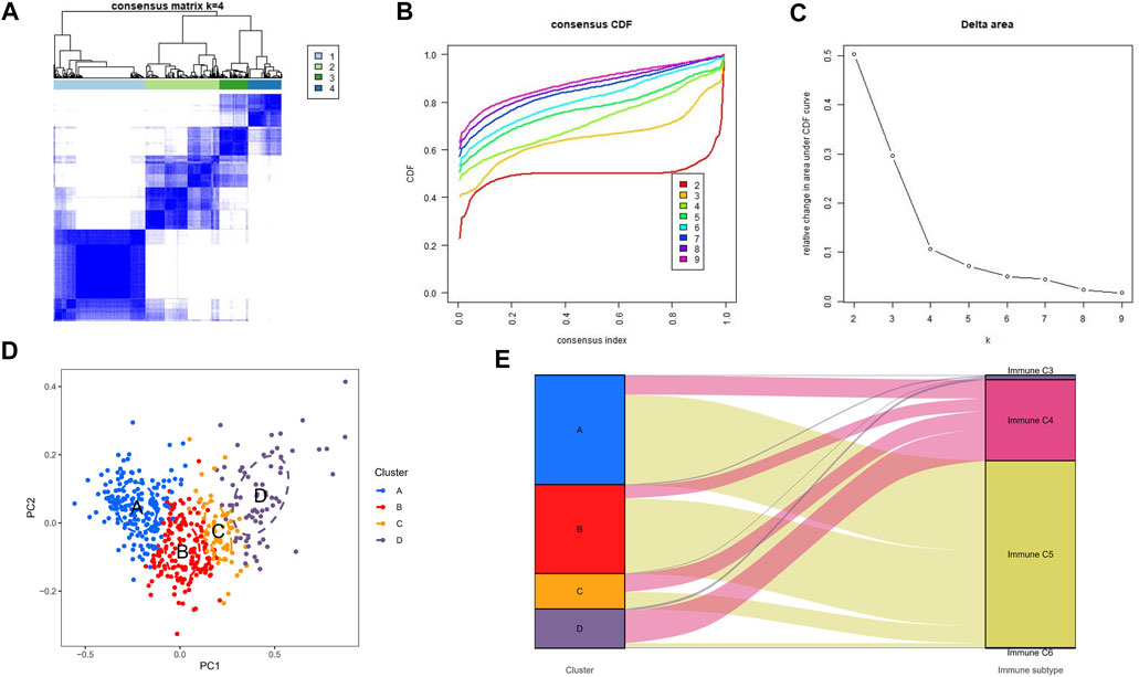 Frontiers | Identification of Immunological Characteristics and Immune ...