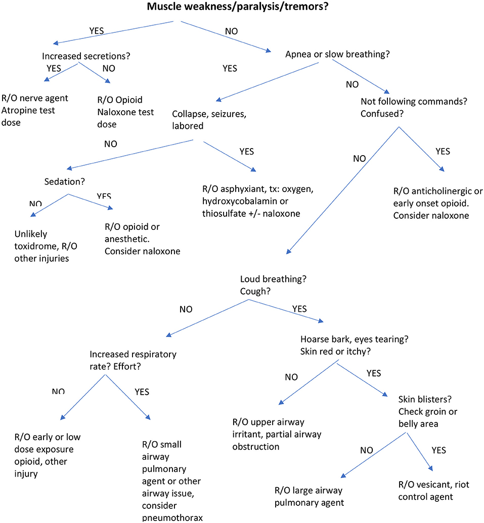 Frontiers | Toxidromes for Working Dogs