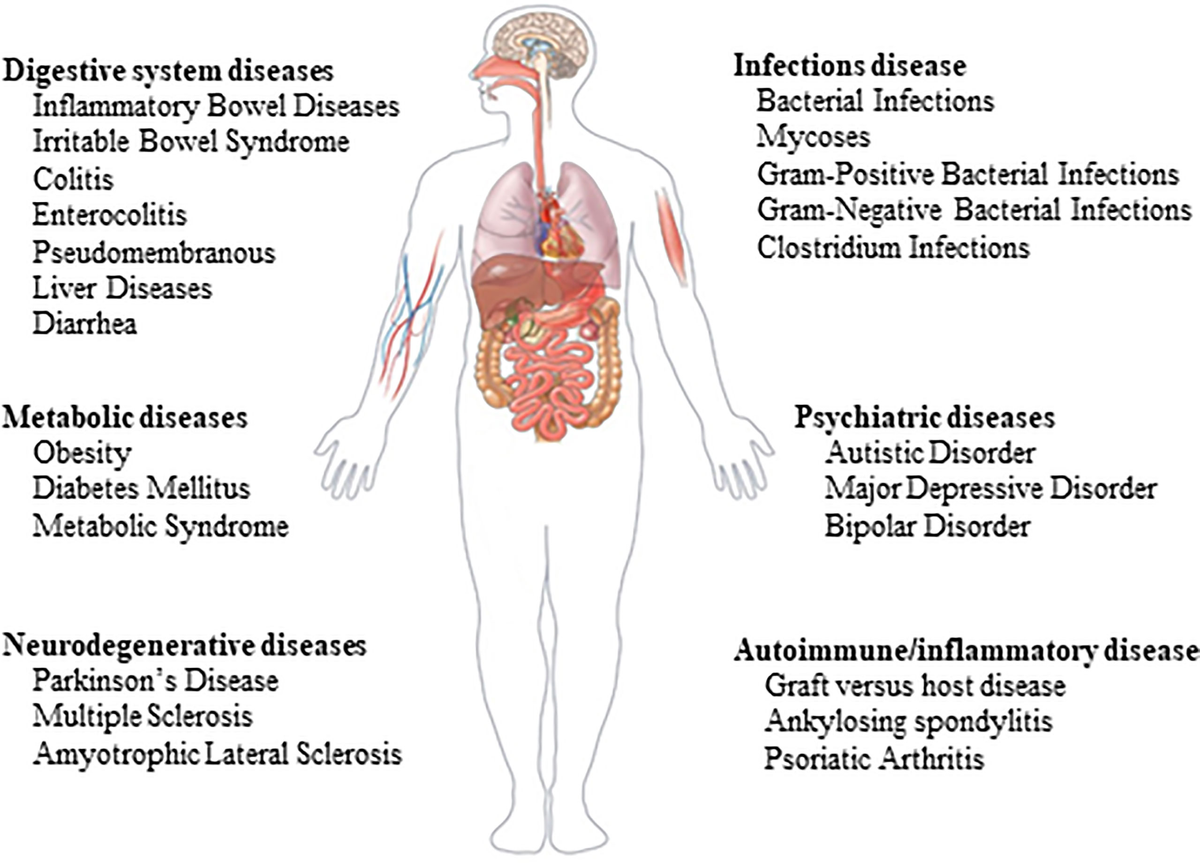 Frontiers | Fecal Microbiota Transplantation and Health Outcomes: An ...