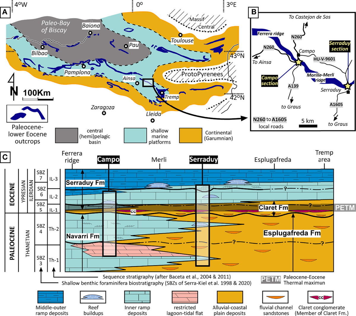Frontiers | Coralline Algae at the Paleocene/Eocene Thermal Maximum in ...
