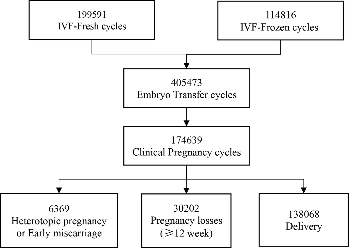 Frontiers | Prognosis of Congenital Anomalies in Conceptions Following ...