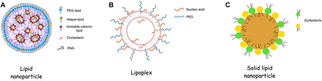 Frontiers | Lipid-based nanoparticles and RNA as innovative neuro ...