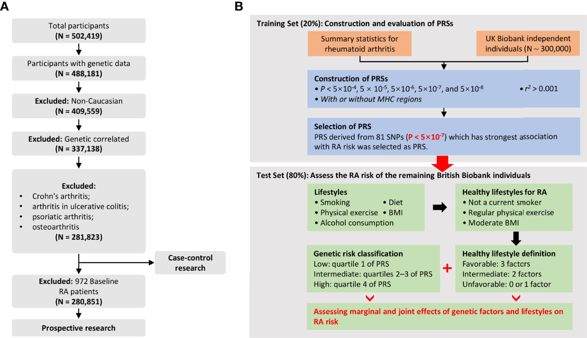 Frontiers | Systematic Evaluation of Rheumatoid Arthritis Risk by ...
