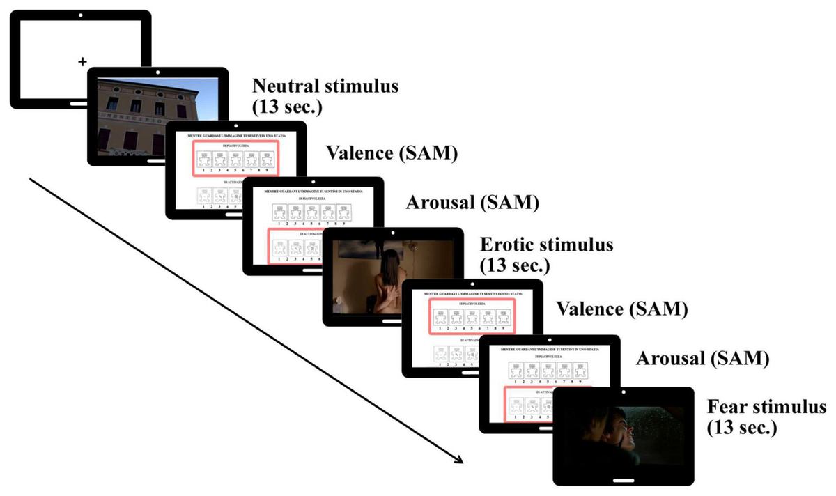 Frontiers | Comparison of Slides and Video Clips as Different Methods ...