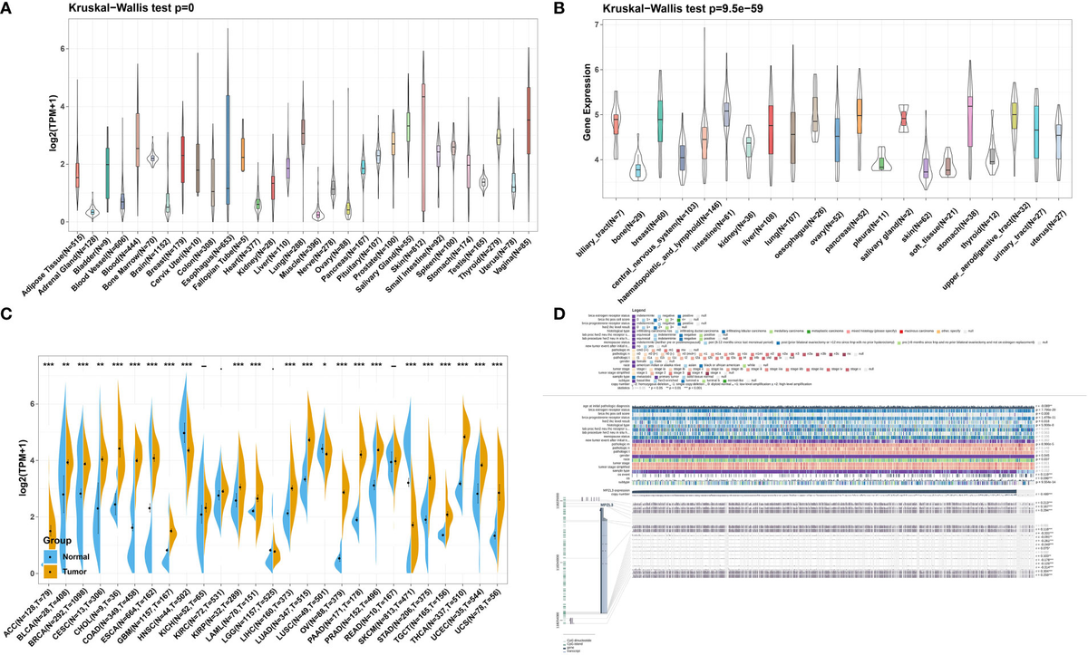 Frontiers | A systemic pan-cancer analysis of MPZL3 as a potential ...