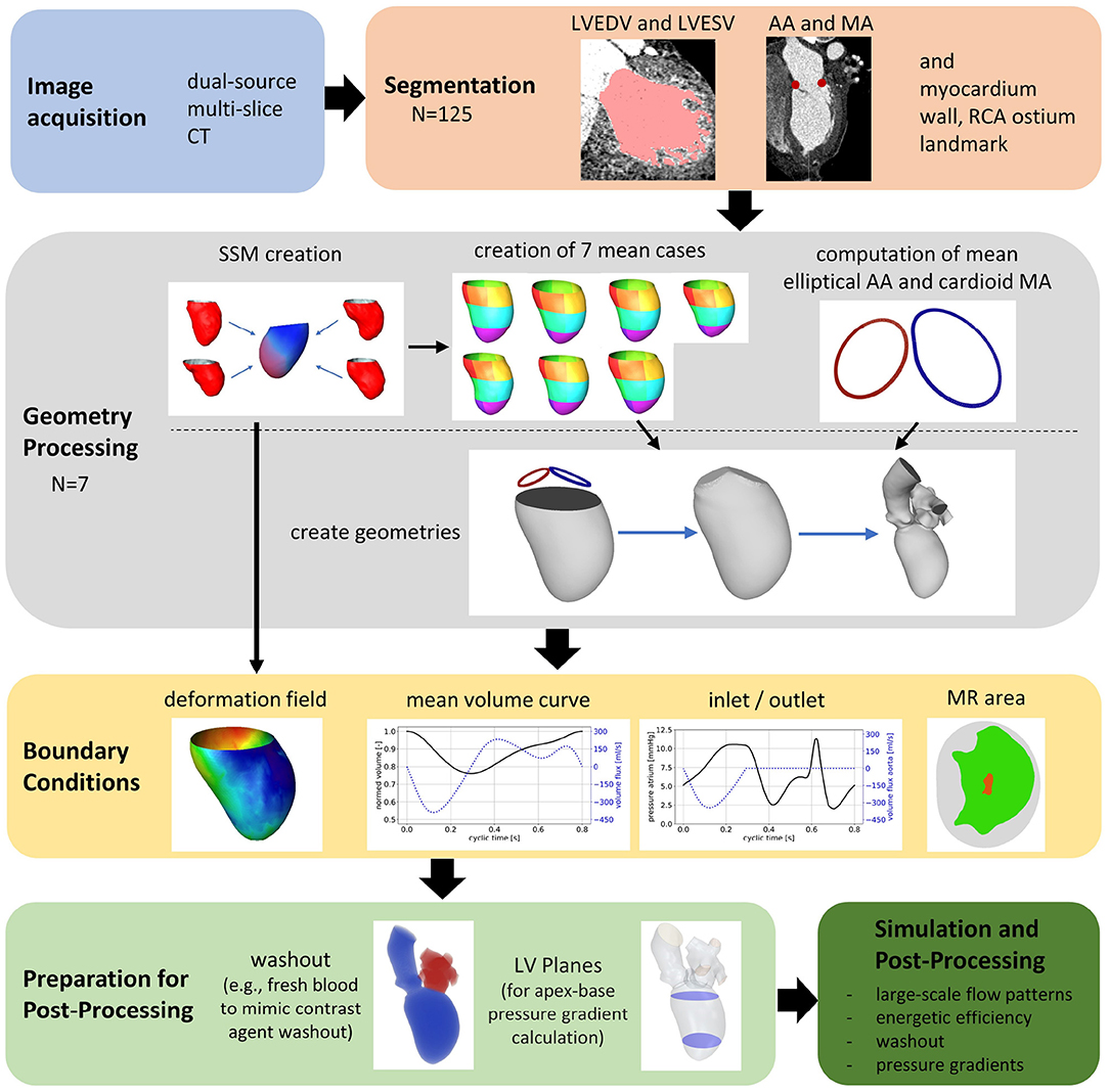 Frontiers | CT-Based Analysis of Left Ventricular Hemodynamics Using ...