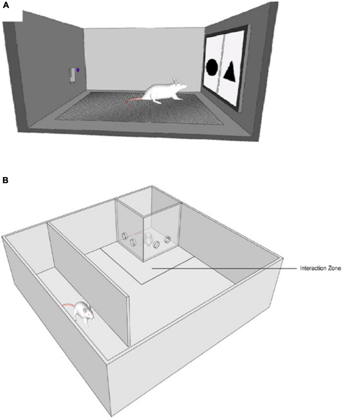 Frontiers | Trauma Disrupts Reinforcement Learning in Rats—A Novel ...