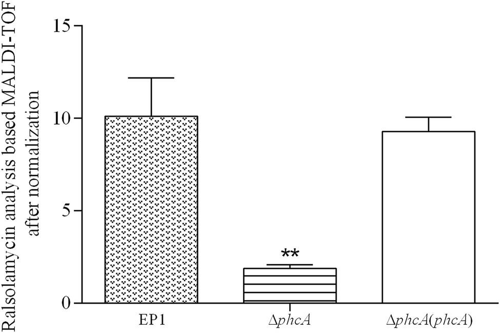 Frontiers | PhcA and PhcR Regulate Ralsolamycin Biosynthesis Oppositely ...