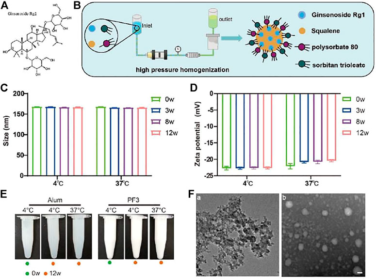 Frontiers | A New Nano Adjuvant of PF3 Used for an Enhanced Hepatitis B ...