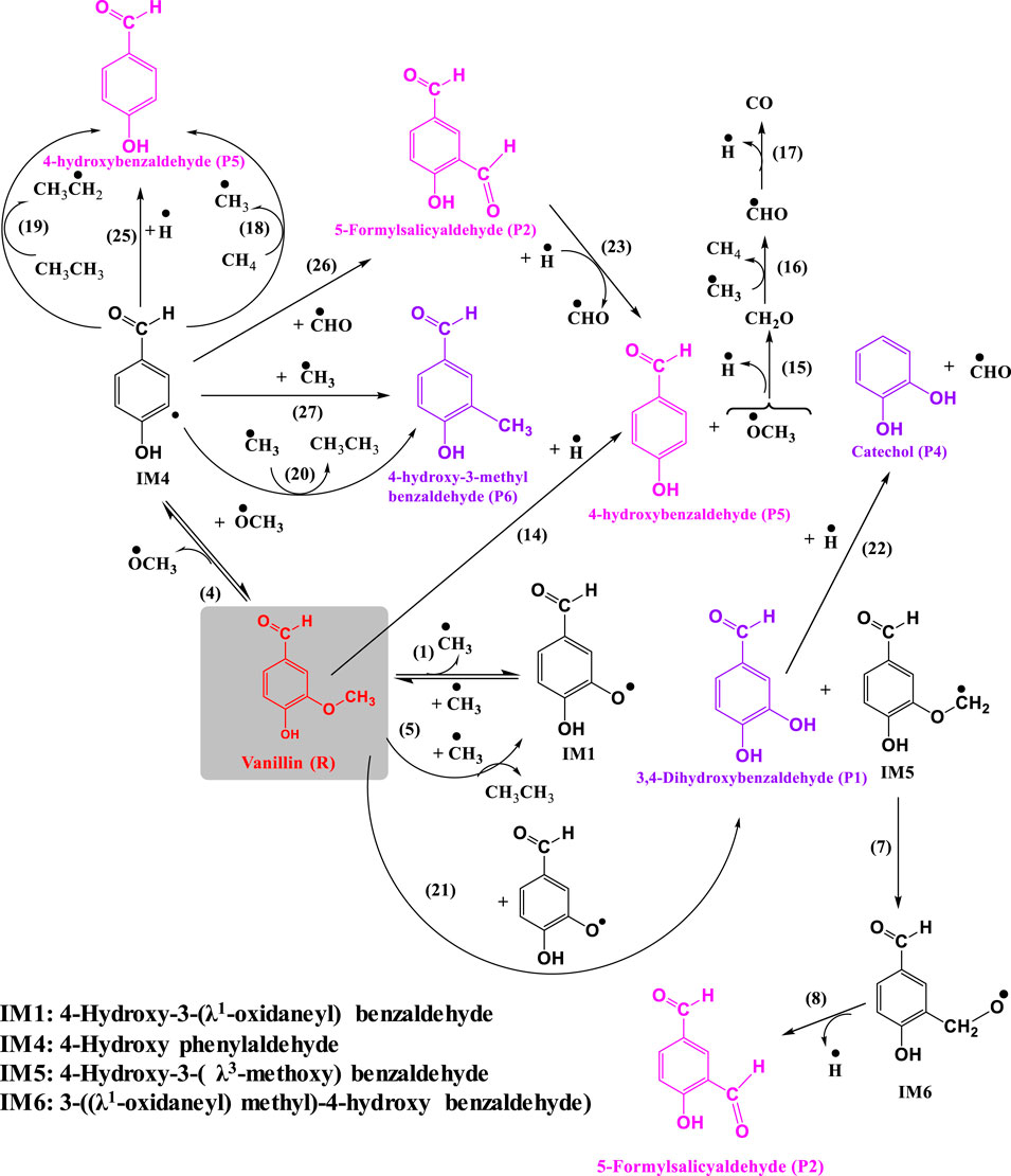 Frontiers | Mechanistic Kinetic Analysis of Fast Pyrolysis of Vanillin ...