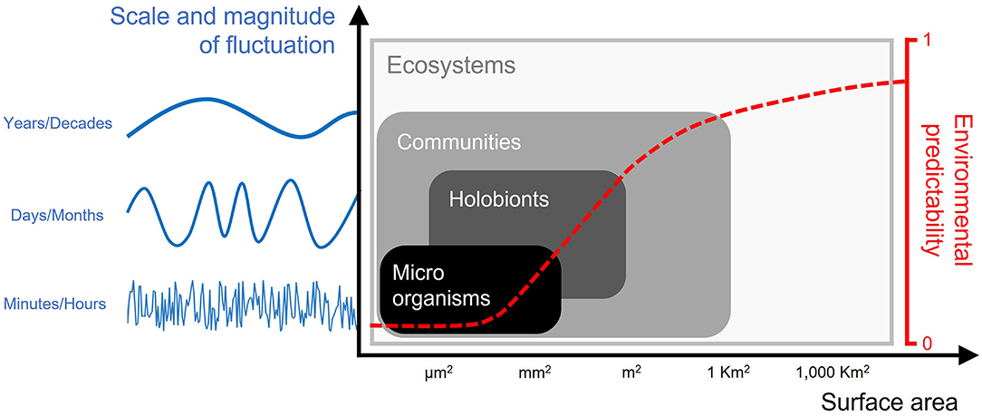 Frontiers | Editorial: Fluctuating Habitats: Ecological Relevance of ...