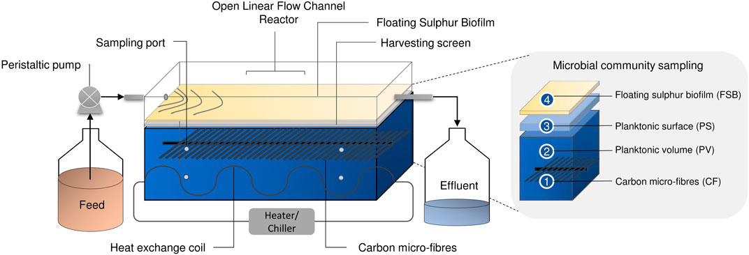 Frontiers | Effect of temperature change on the performance of the ...