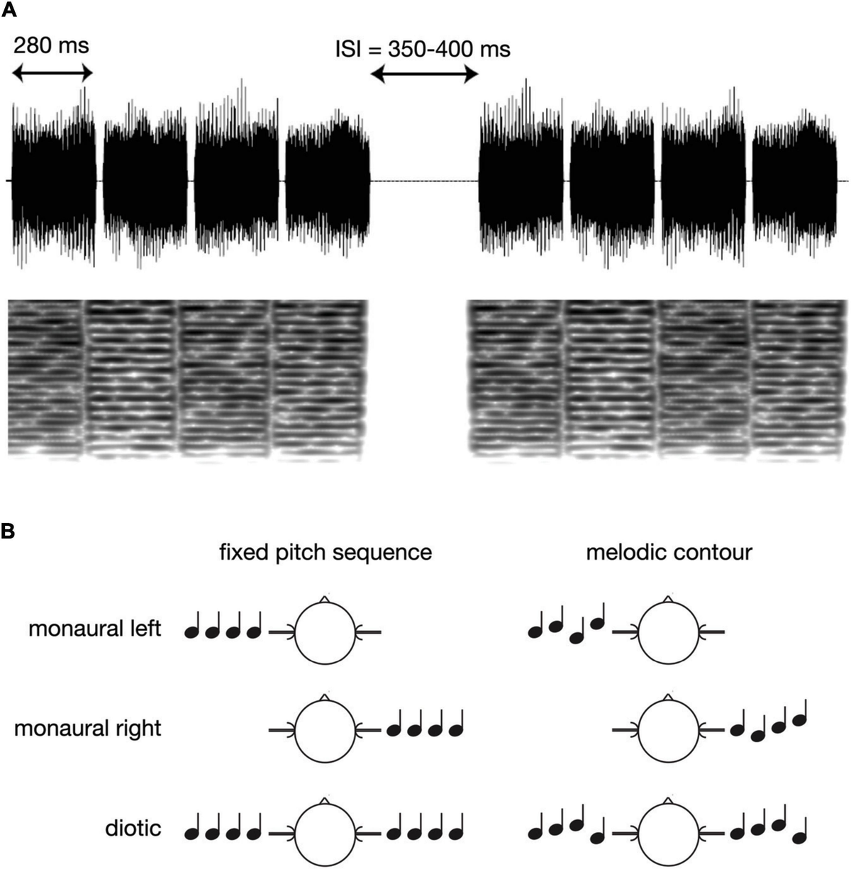 Frontiers | Neuromagnetic representation of melodic contour processing ...
