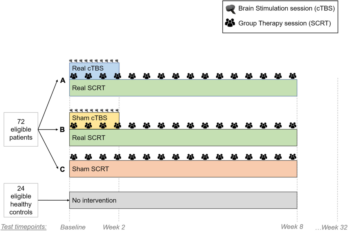Frontiers | Brain Stimulation and Group Therapy to Improve Gesture and ...