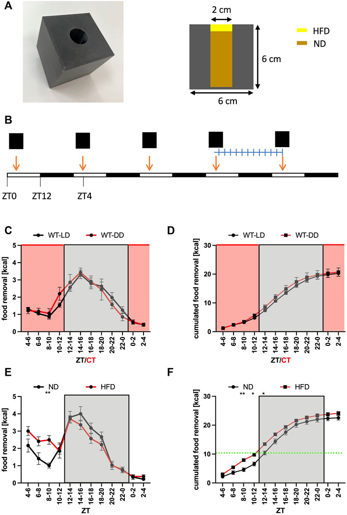 Frontiers | Suprachiasmatic to paraventricular nuclei interaction ...