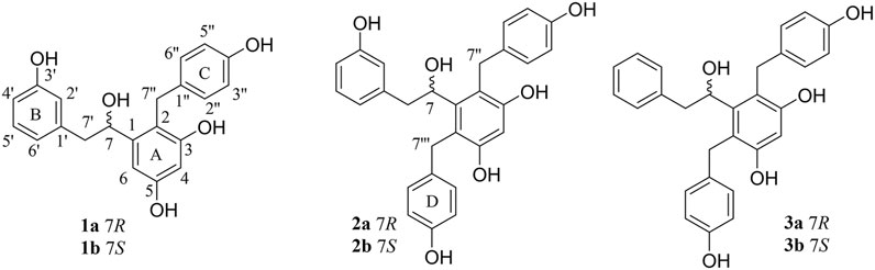 Frontiers | Bioactive Bibenzyl Enantiomers From the Tubers of Bletilla ...