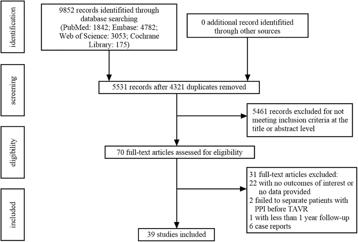 Frontiers | Mid- to Long-Term Clinical and Echocardiographic Effects of ...