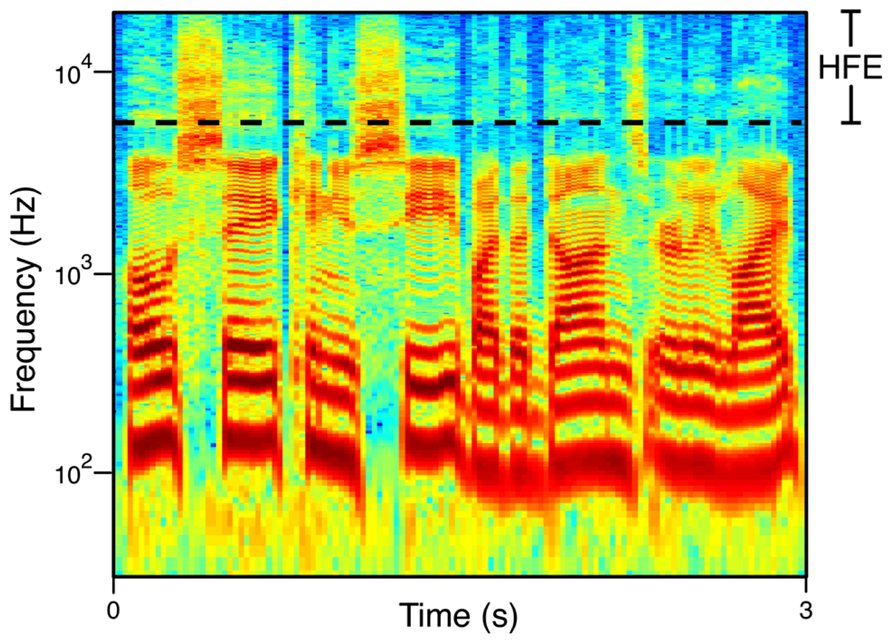 Frontiers | The perceptual significance of high-frequency energy in the ...