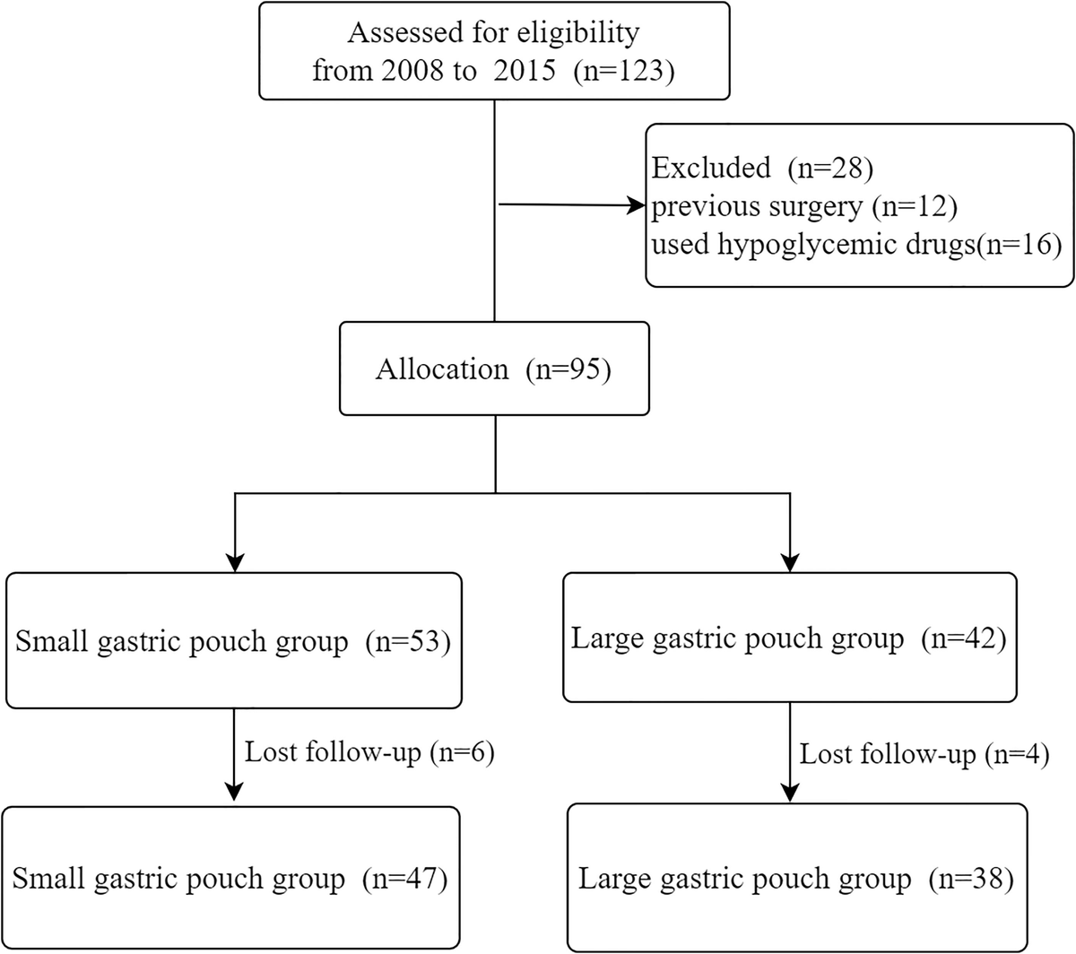 Frontiers | Large Versus Small Gastric Pouch for Roux-en-Y Gastric ...