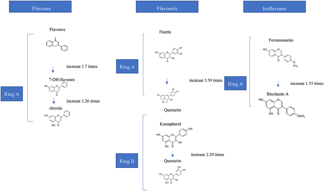 Frontiers | Chemistry of Protein-Phenolic Interactions Toward the ...