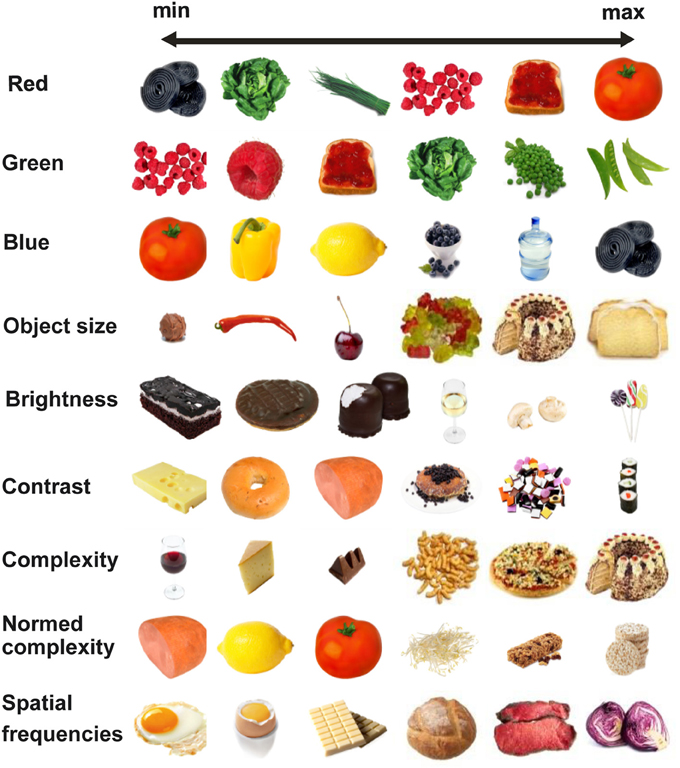 Frontiers | Food-pics: an image database for experimental research on ...
