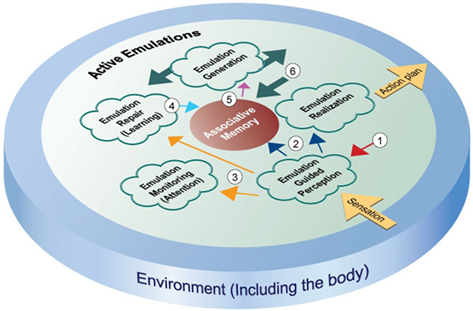Frontiers | Emulation as an Integrating Principle for Cognition