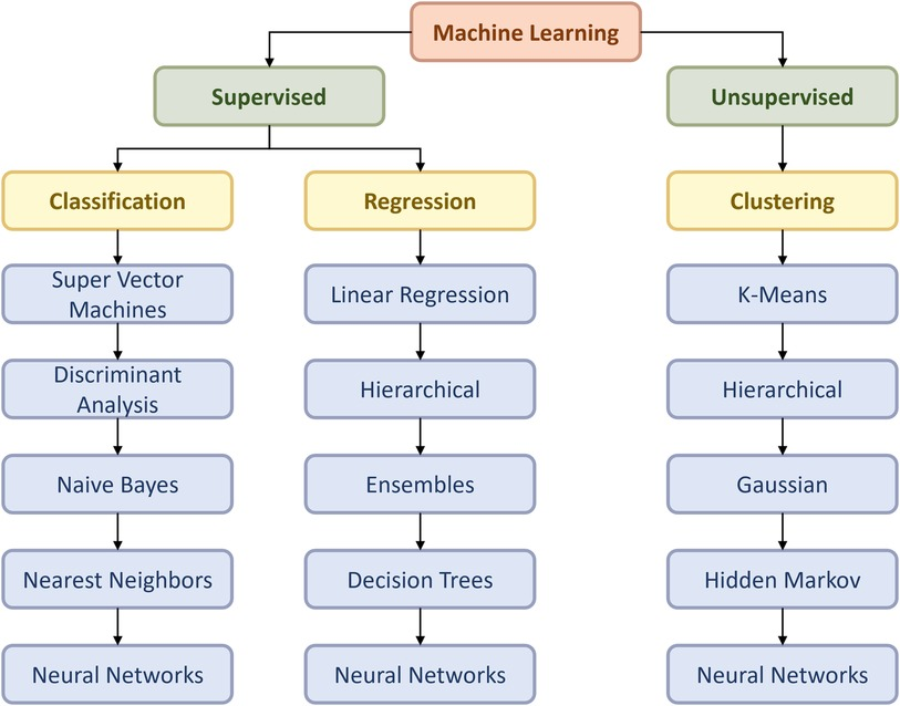 Frontiers | The development of machine learning in lung surgery: A ...