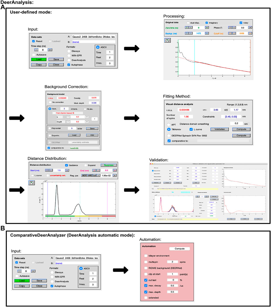 Frontiers | DEER Data Analysis Software: A Comparative Guide