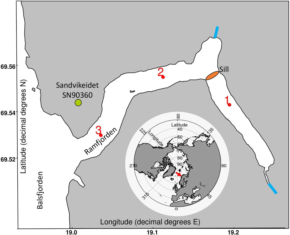 Frontiers | Light and freshwater discharge drive the biogeochemistry ...