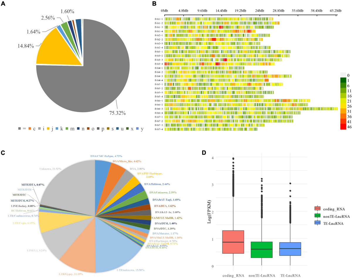 Frontiers | Transcriptome Profiling of Transposon-Derived Long Non ...