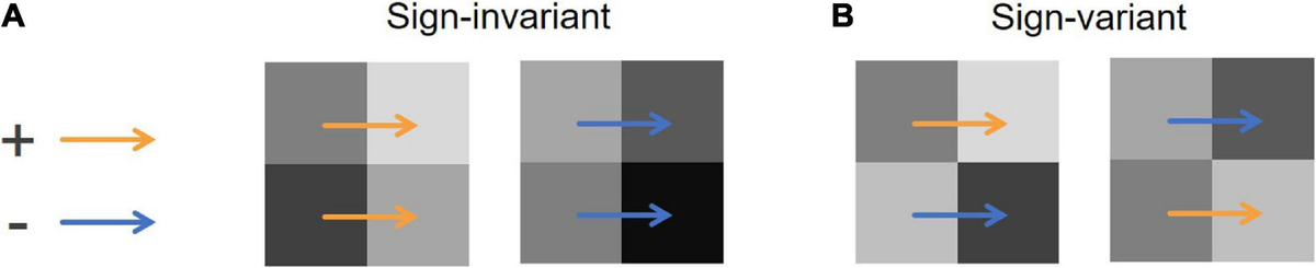 Frontiers | Simple Assumptions to Improve Markov Illuminance and ...