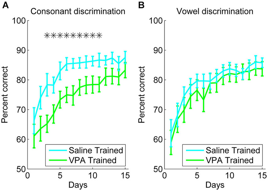 Frontiers | Speech sound discrimination training improves auditory ...