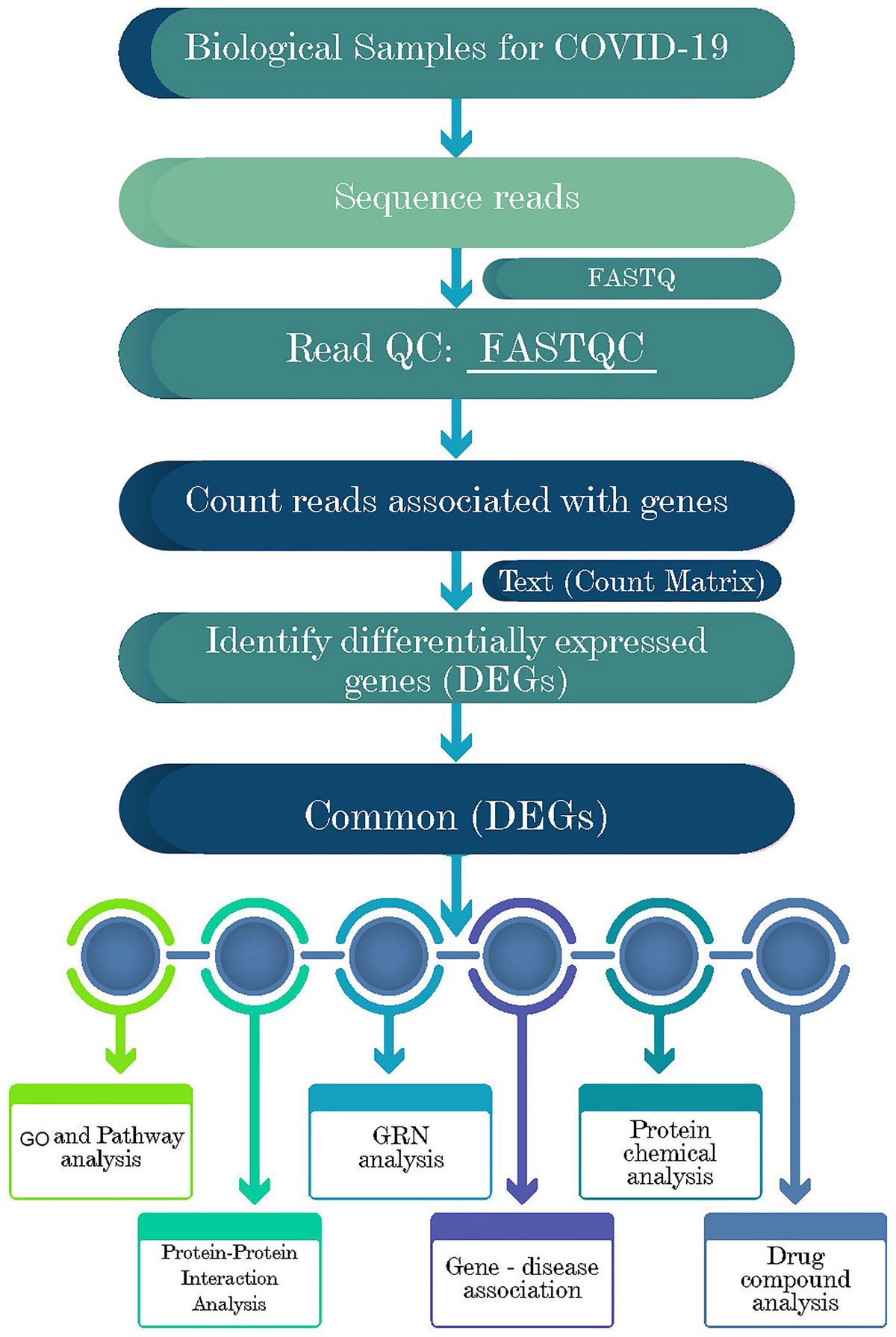 Frontiers | Differential gene expression profiling reveals potential ...