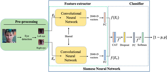 Frontiers | An Eyes-Based Siamese Neural Network for the Detection of ...