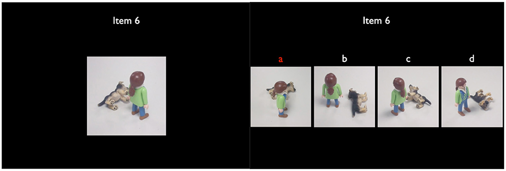 Frontiers | Disability does not negatively impact linguistic visual ...