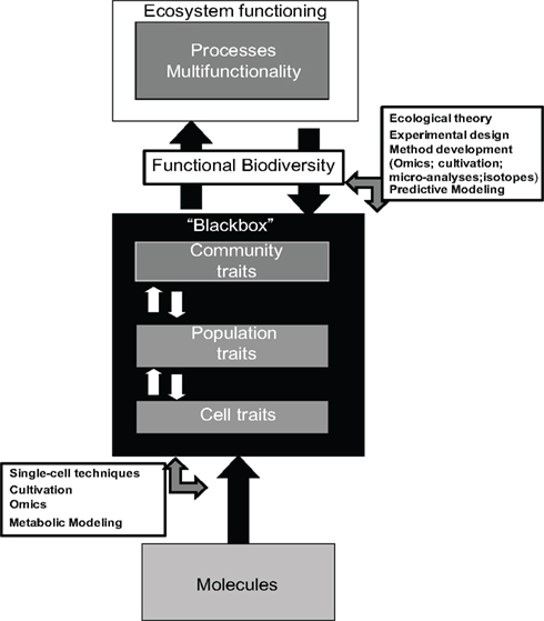 Frontiers | Toward Understanding, Managing, and Protecting Microbial ...