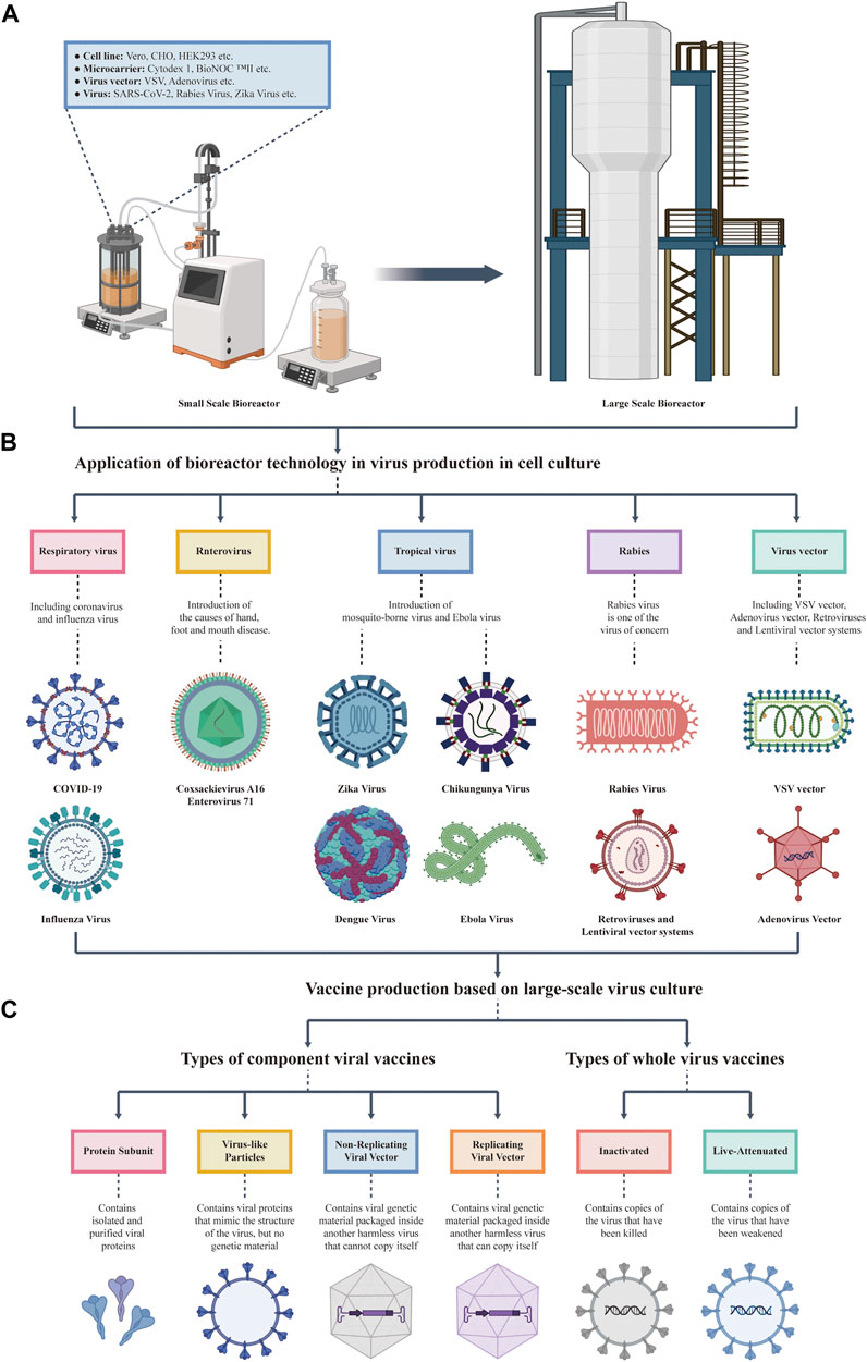 Frontiers | Application of bioreactor technology for cell culture-based ...
