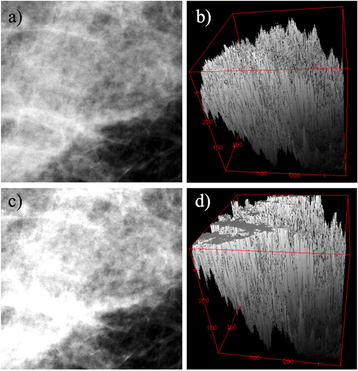 Frontiers | Elimination of Image Saturation Effects on Multifractal ...