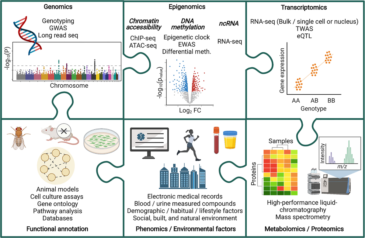 Frontiers | Harnessing the Full Potential of Multi-Omic Analyses to ...