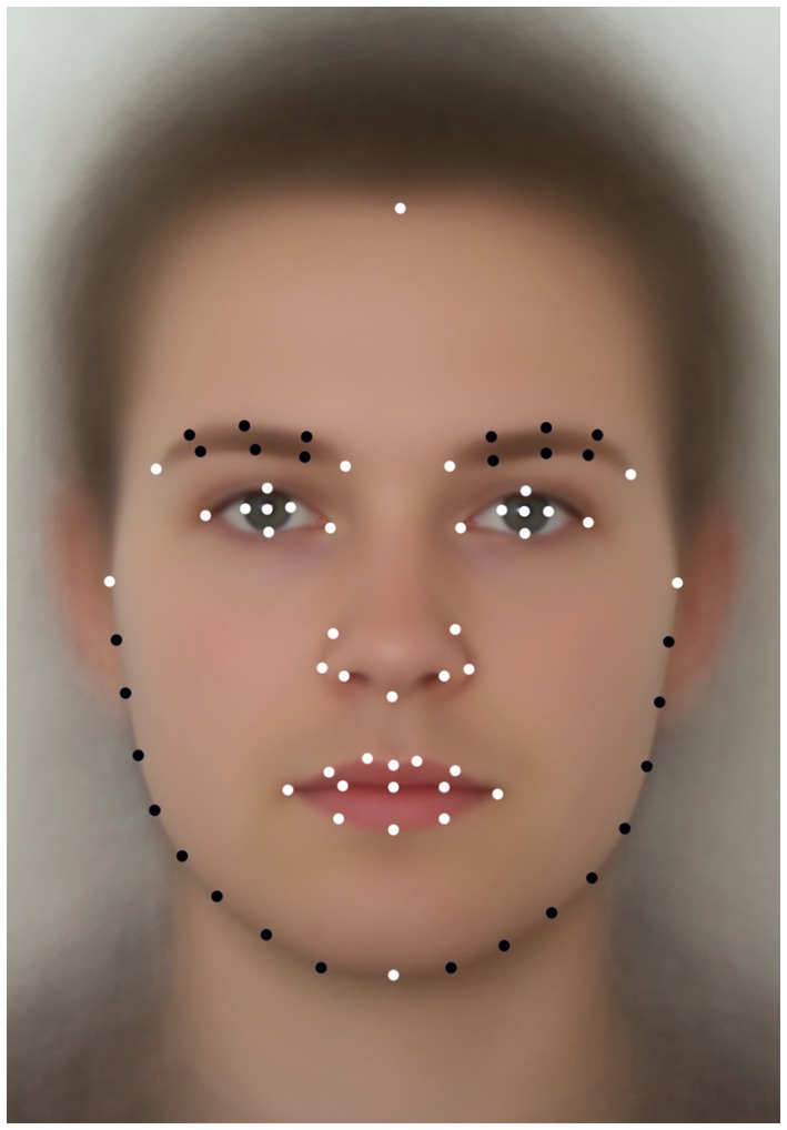 Frontiers | Effects of sex and sex-related facial traits on trust and ...