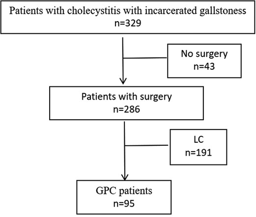 Frontiers | Changes in Gallbladder Contractile Function and its ...