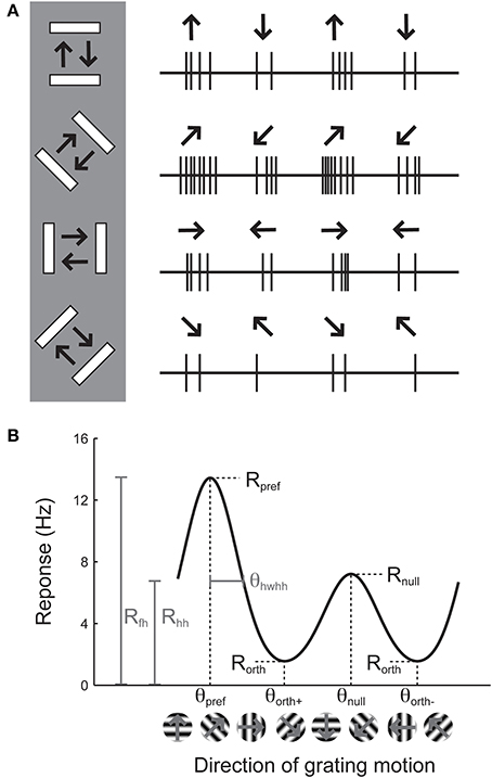 Frontiers | Robust quantification of orientation selectivity and ...