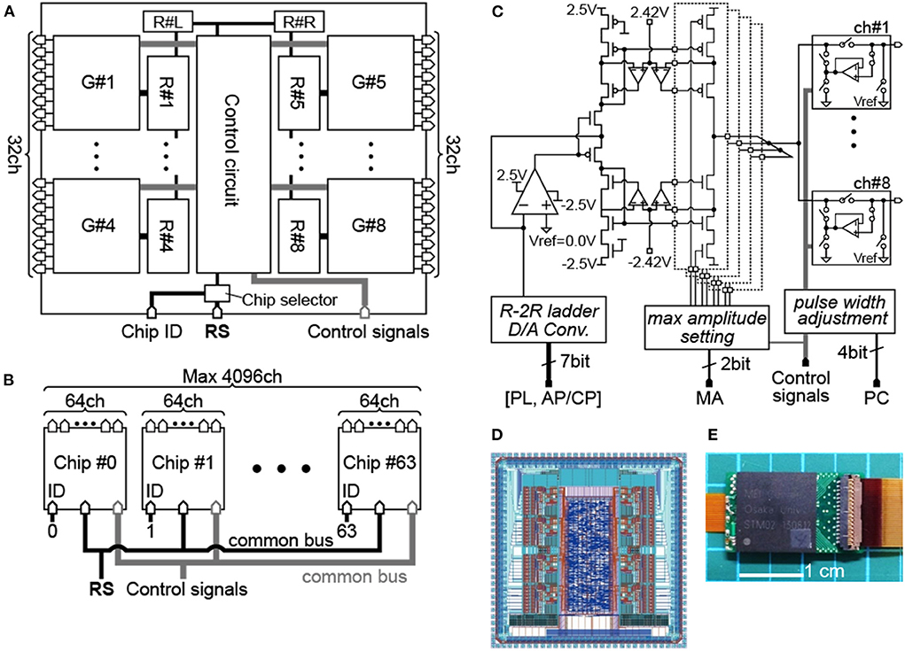 Frontiers | Multichannel stimulation module as a tool for animal ...