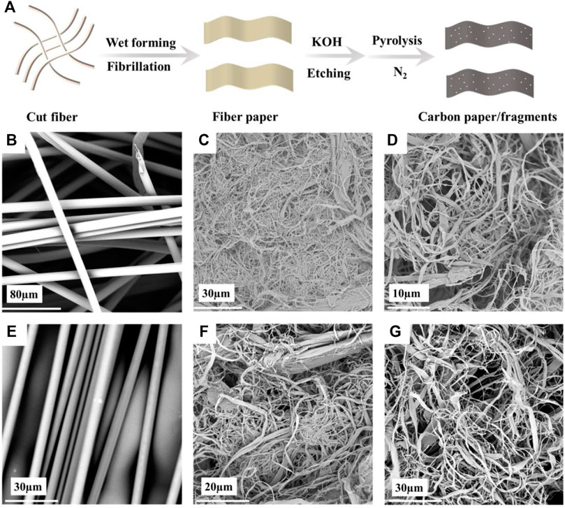 Frontiers | The effect of different poly fibers separator-modified ...